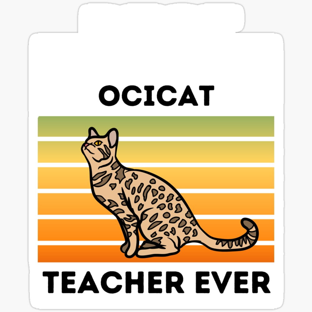 DOPASTICKER Ocicat Cat Teacher Lovers, Gift Teachers Ocicat Lovers ...