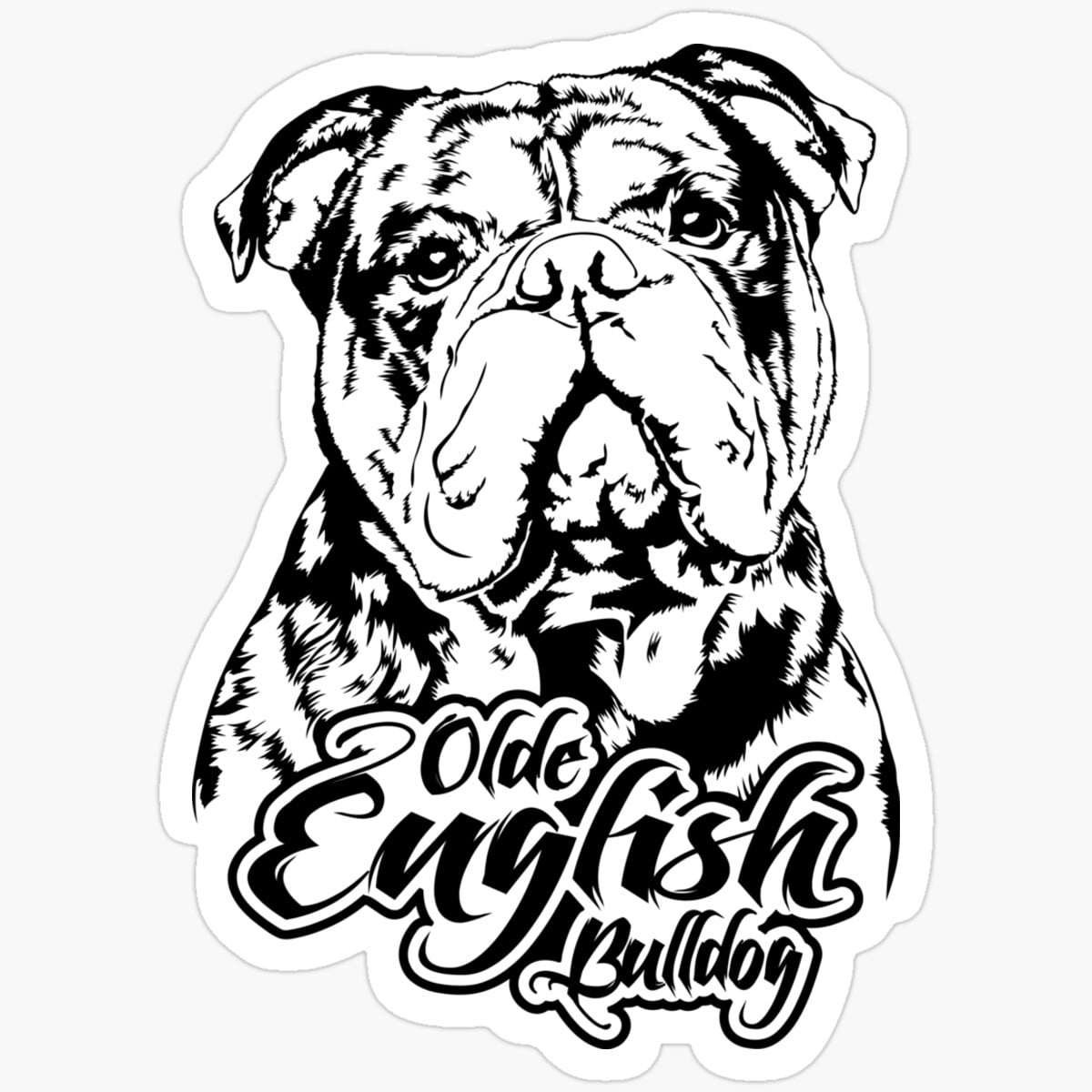 DOPASTICKER Olde English Bulldog Dog Portrait Sticker, Waterproof ...