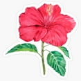DOPASTICKER One Red Hibiscus Watercolor Painting Sticker Birthday Gifts ...