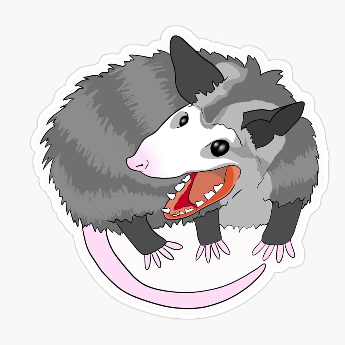 DOPASTICKER Opossum Holler Sticker, Phone Sticker Water Bottle Sticker ...