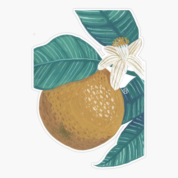 DOPASTICKER Orange Botanical Illustration Sticker, Phone Sticker Car ...