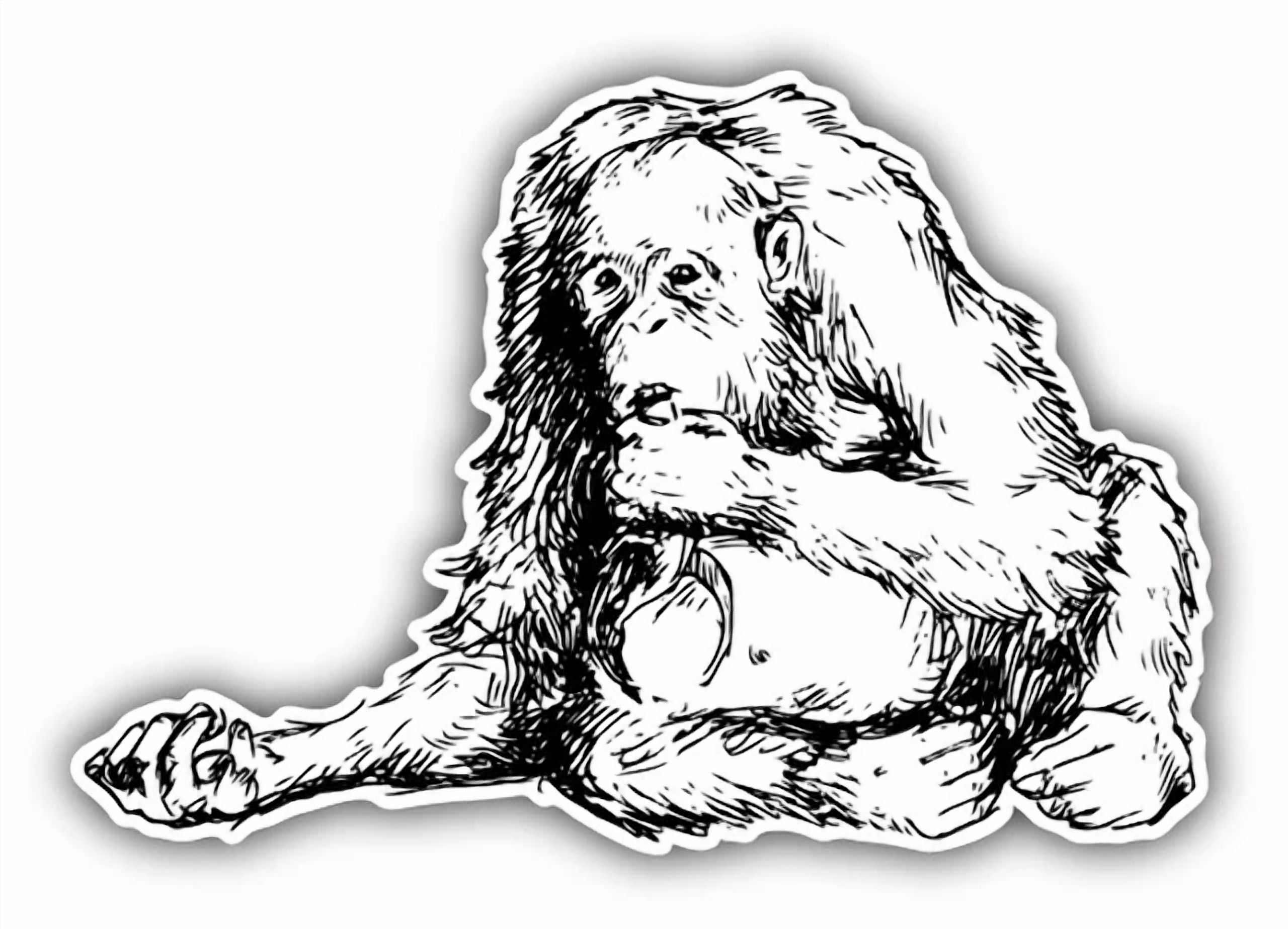 DOPASTICKER Orangutan Sketch Sticker Decal Phone Decal Water Bottle ...