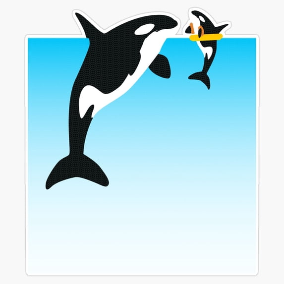 DOPASTICKER Orca Sticker, Phone Sticker Water Bottle Sticker Car ...