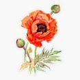 DOPASTICKER Oriental Poppies Sticker, Phone Sticker Water Bottle ...
