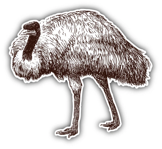 DOPASTICKER Ostrich Sketch Sticker Decal Phone Decal Water Bottle ...
