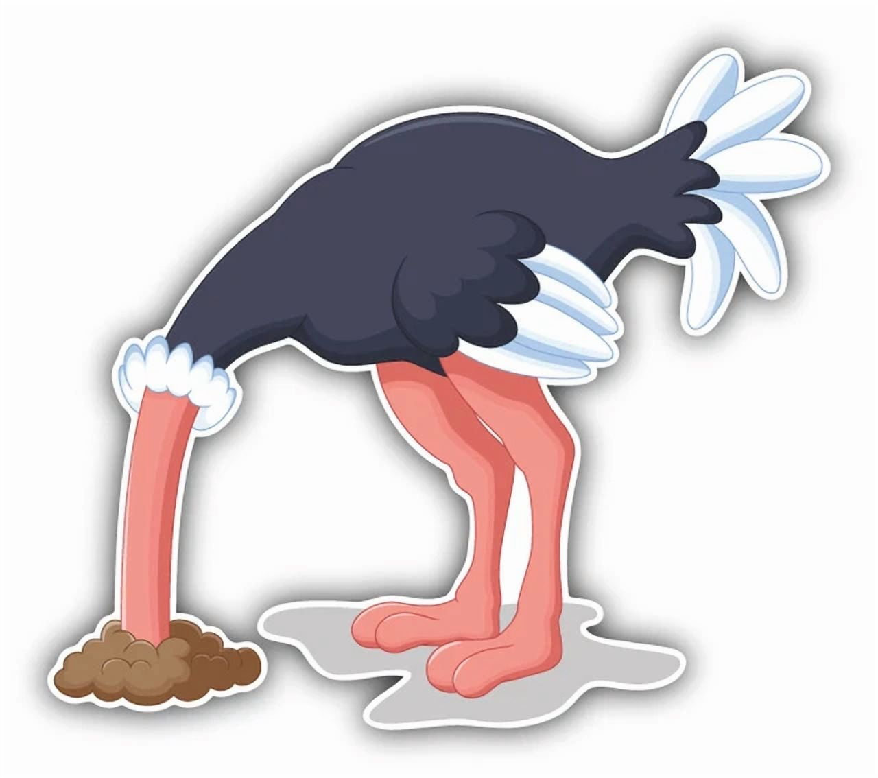 DOPASTICKER Ostrich Sticker Decal Phone Decal Water Bottle Stickers ...