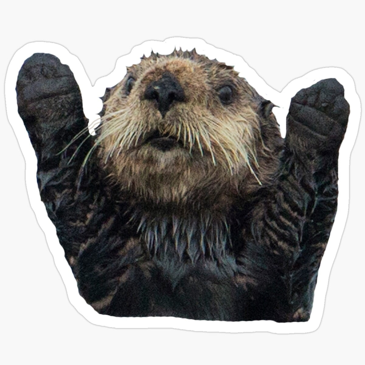 DOPASTICKER Otter Hugs Sticker. Gift You - Decorate Laptops, Water ...