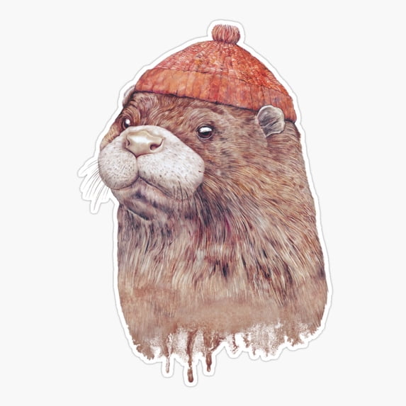 DOPASTICKER Otter Sticker, Phone Sticker Water Bottle Stickers Car ...