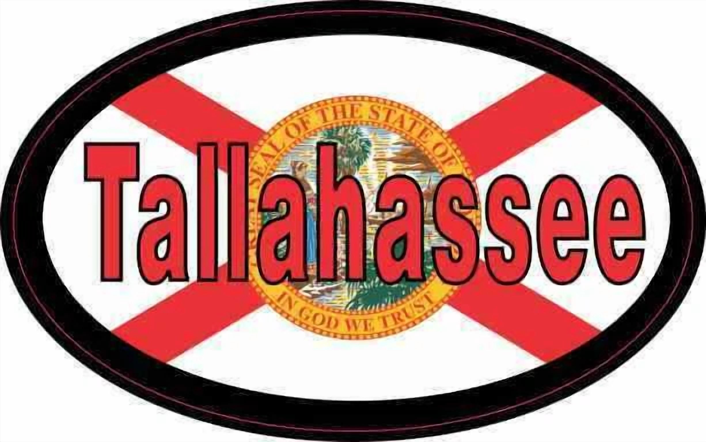 DOPASTICKER Oval Florida Flag Tallahassee Sticker Phone Sticker, Latop ...