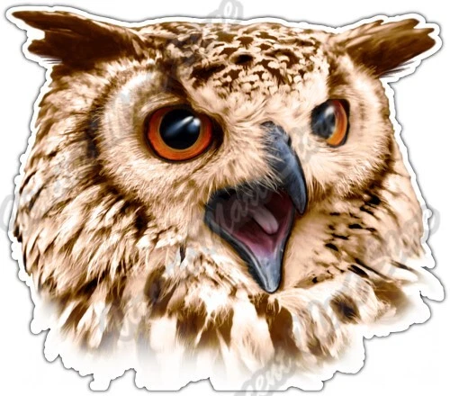DOPASTICKER Owl Brown Bird Head Animal Masonic Mascot Car Sticker Decal ...