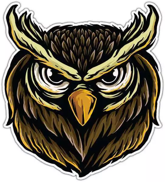 DOPASTICKER Owl Forest Night Wise Bird Wisdom Car Window Sticker Decal ...