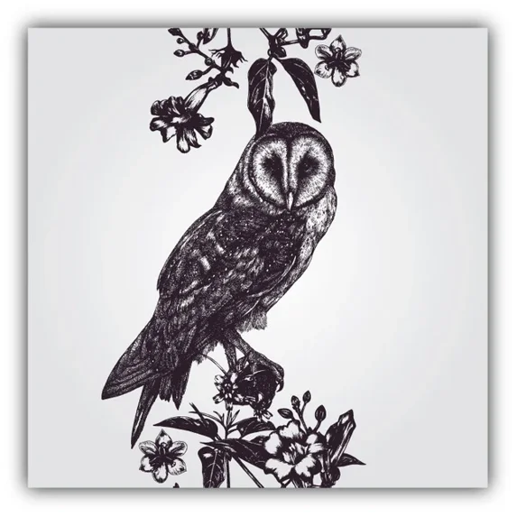 DOPASTICKER Owl Sketch Sticker Decal Phone Decal Water Bottle Stickers ...
