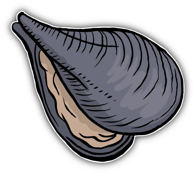 DOPASTICKER Oyster Sketch Sticker Decal Phone Decal Water Bottle ...