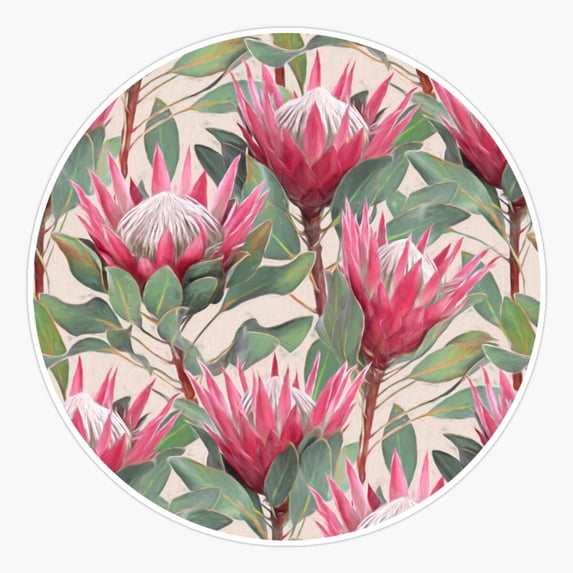 DOPASTICKER Painted King Proteas On Cream Sticker, Phone Sticker Car ...