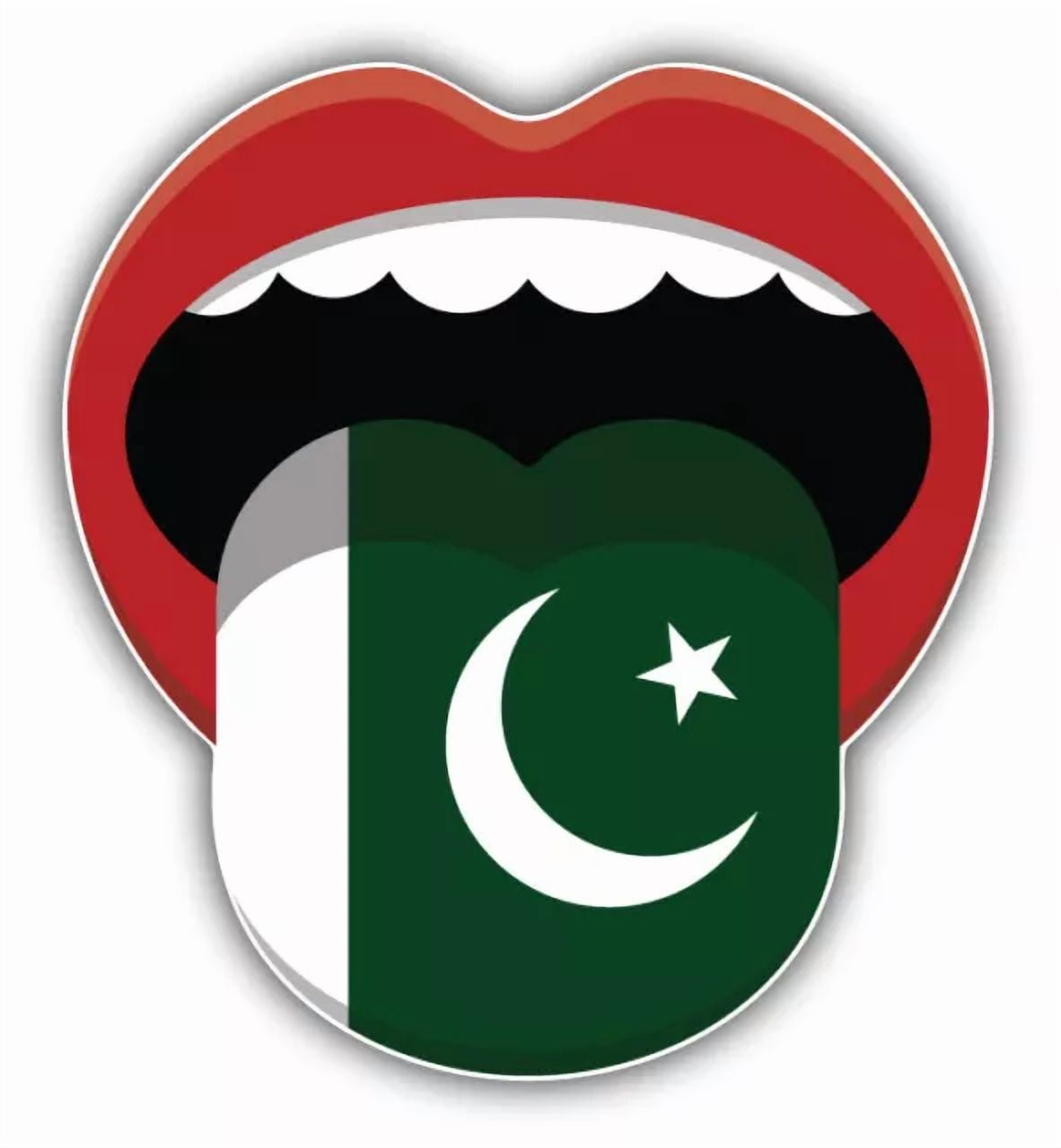 DOPASTICKER Pakistan Flag Mouth Sticker Decal Phone Decal Water Bottle ...