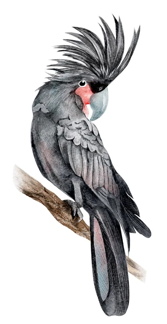 DOPASTICKER Palm Parrot Sticker Grey Bird Wild Flying Vibrant Beautiful ...