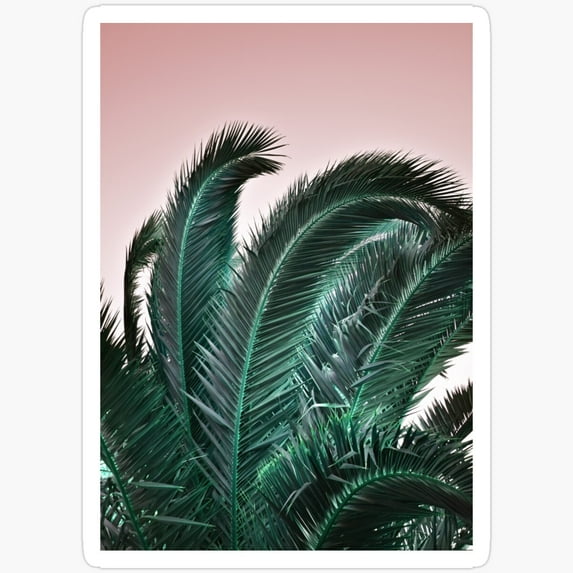 DOPASTICKER Palm Tree Leaves Sticker Birthday Gifts - Decorative Laptop ...