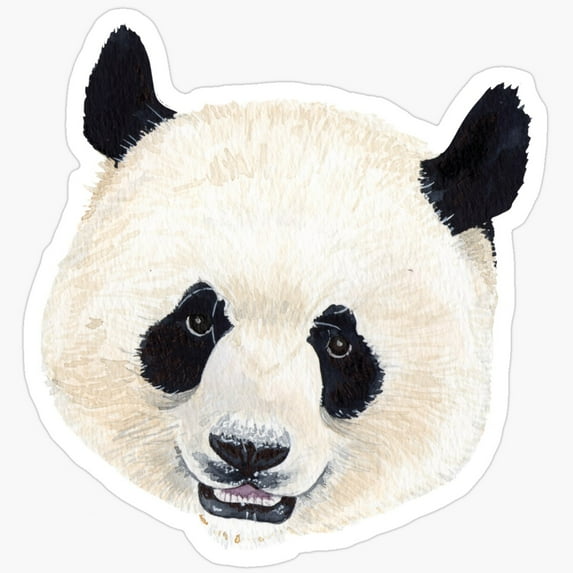 DOPASTICKER Panda Face Sticker Birthday Gifts - Decorative Laptop ...