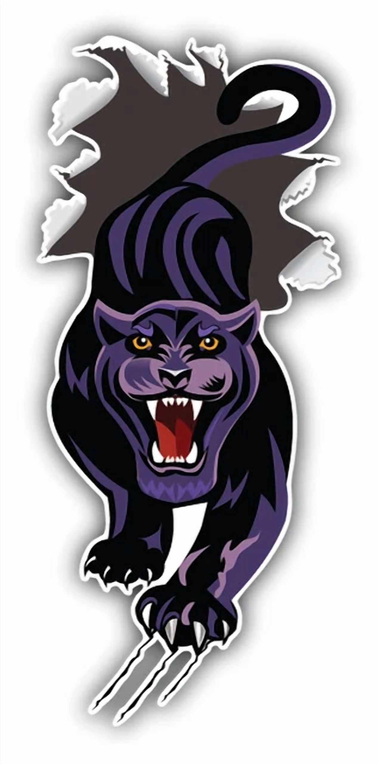DOPASTICKER Panther Breakthrough Paper Car Sticker Phone Water Bottle ...