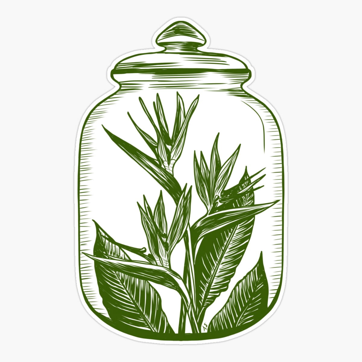 DOPASTICKER Paradise Potion Bird Of Paradise In A Jar Sticker, Phone ...