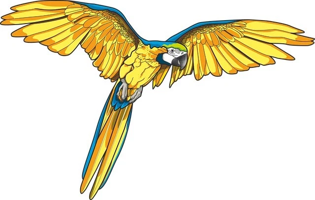 DOPASTICKER Parrot Bird Wild Colorful Rainbow Yellow Flying Vibrant ...