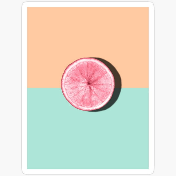 DOPASTICKER Pastel Modern Citron Grape Fruit Sticker Birthday Gifts ...