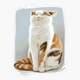 DOPASTICKER Patterned White Orange Cat Chilling Sticker, Phone Sticker ...