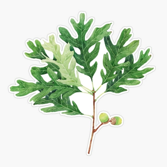 DOPASTICKER Patterns Everyday, White Oak Sticker, Phone Sticker Car ...