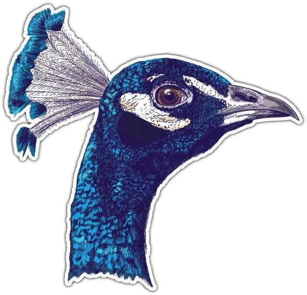 DOPASTICKER Peacock Head Bird Zoo Car Window Sticker Decal Phone Decal ...