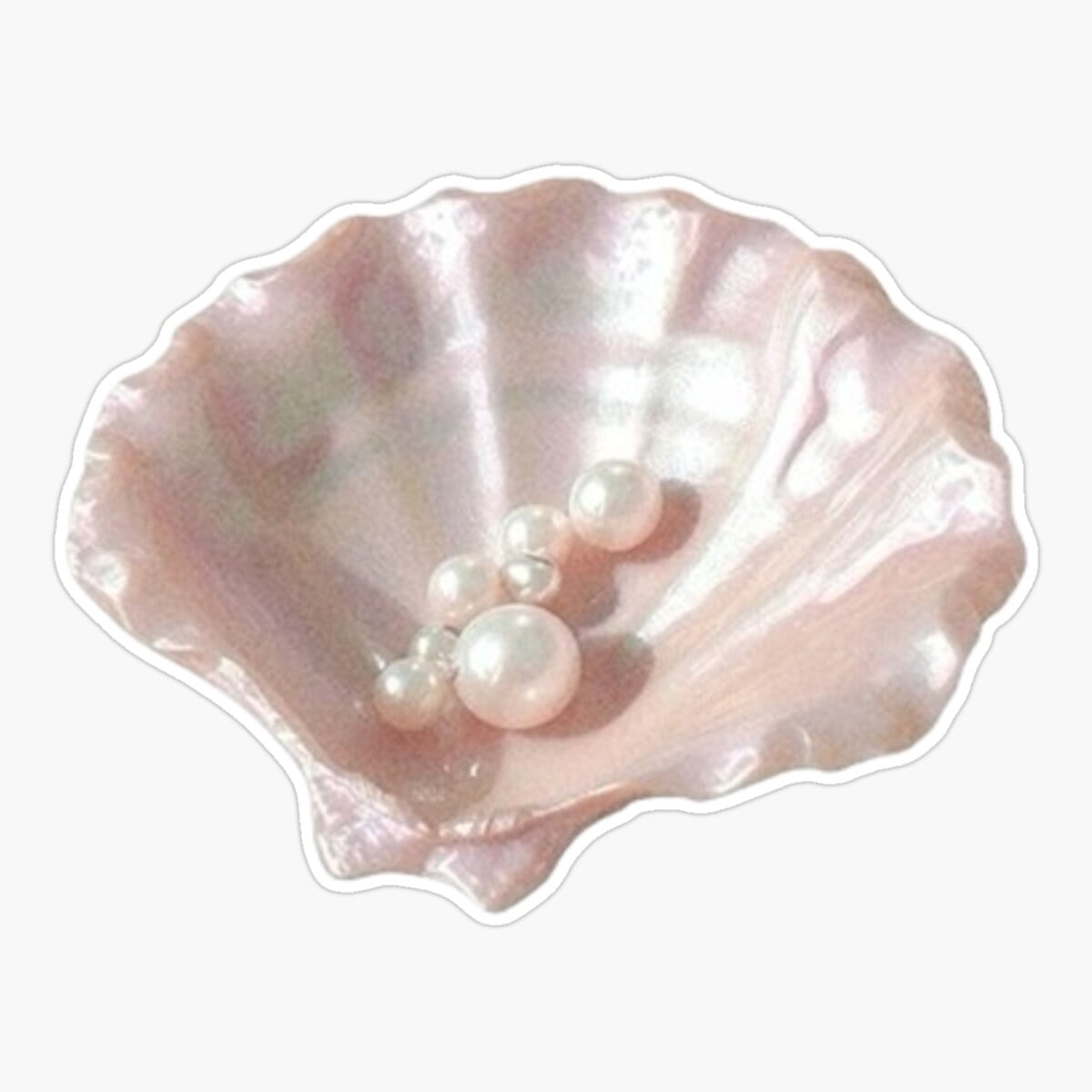 DOPASTICKER Pearl Shell Sticker, Phone Sticker Water Bottle Sticker Car ...