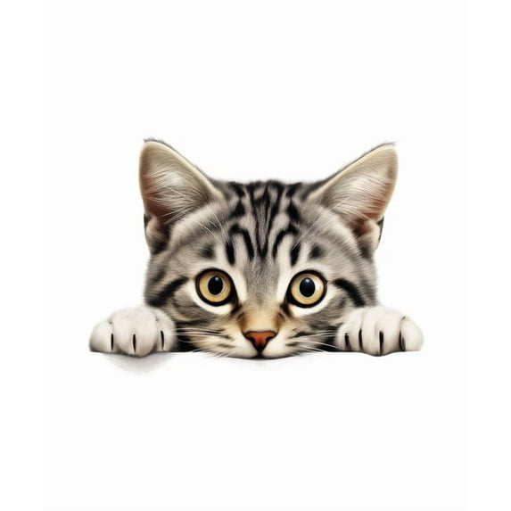 DOPASTICKER Peeking Cat Sticker Car Sticker Decoration Cute For Lunch ...