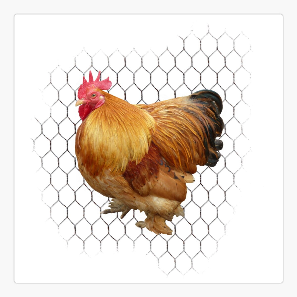 DOPASTICKER Pekin Bantam Rooster Chicken Wire Sticker, Phone Sticker ...