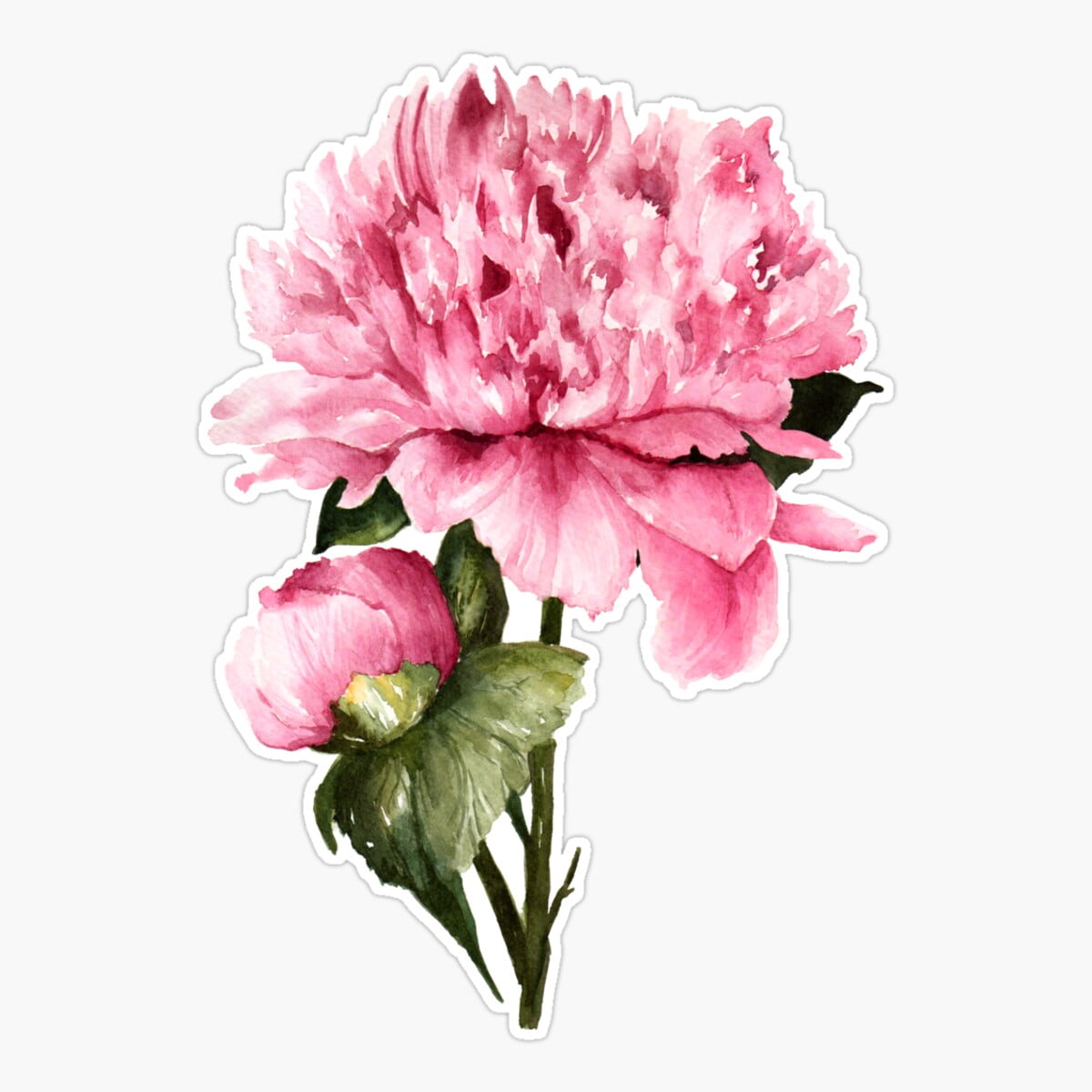 DOPASTICKER Peony 3 Sticker, Phone Sticker Water Bottle Sticker Car ...