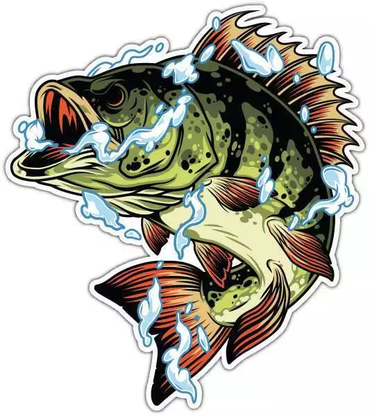 DOPASTICKER Perch Fish Fishing Fisherman Perches Car Window Sticker ...