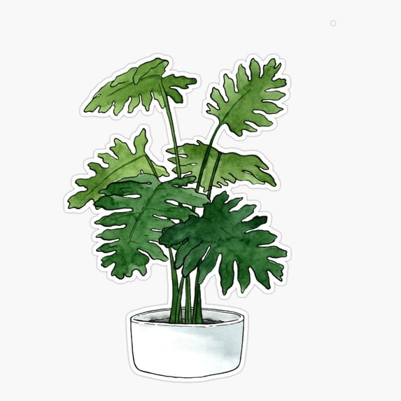 DOPASTICKER Philodendron Plant Sticker, Phone Sticker Car Stickers ...