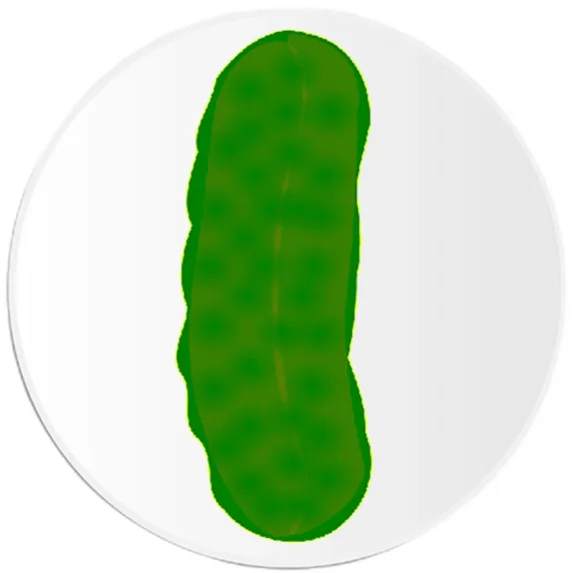 DOPASTICKER Pickle Sticker Phone Decal Water Bottle Stickers, Cars ...