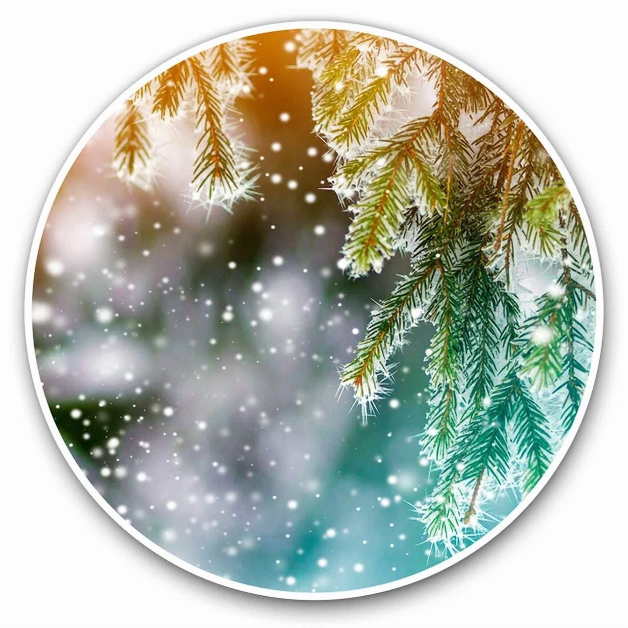 DOPASTICKER Pine Tree Snow Noel Fun Cool Gift Decorative Laptop, Phone ...