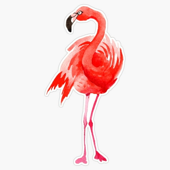 DOPASTICKER Pink Flamingo Bird Watercolor Sticker, Phone Sticker Car ...