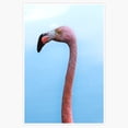 DOPASTICKER Pink Flamingo Head Sticker, Phone Sticker Car Stickers ...