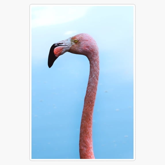 DOPASTICKER Pink Flamingo Head Sticker, Phone Sticker Car Stickers ...
