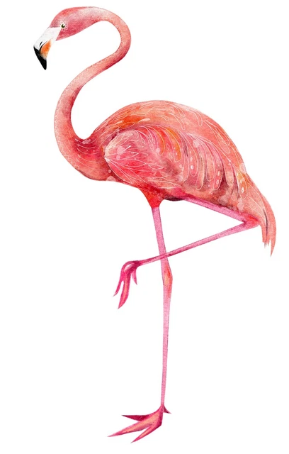 DOPASTICKER Pink Flamingo Sticker Bird Wild Tropical Flying Vibrant ...