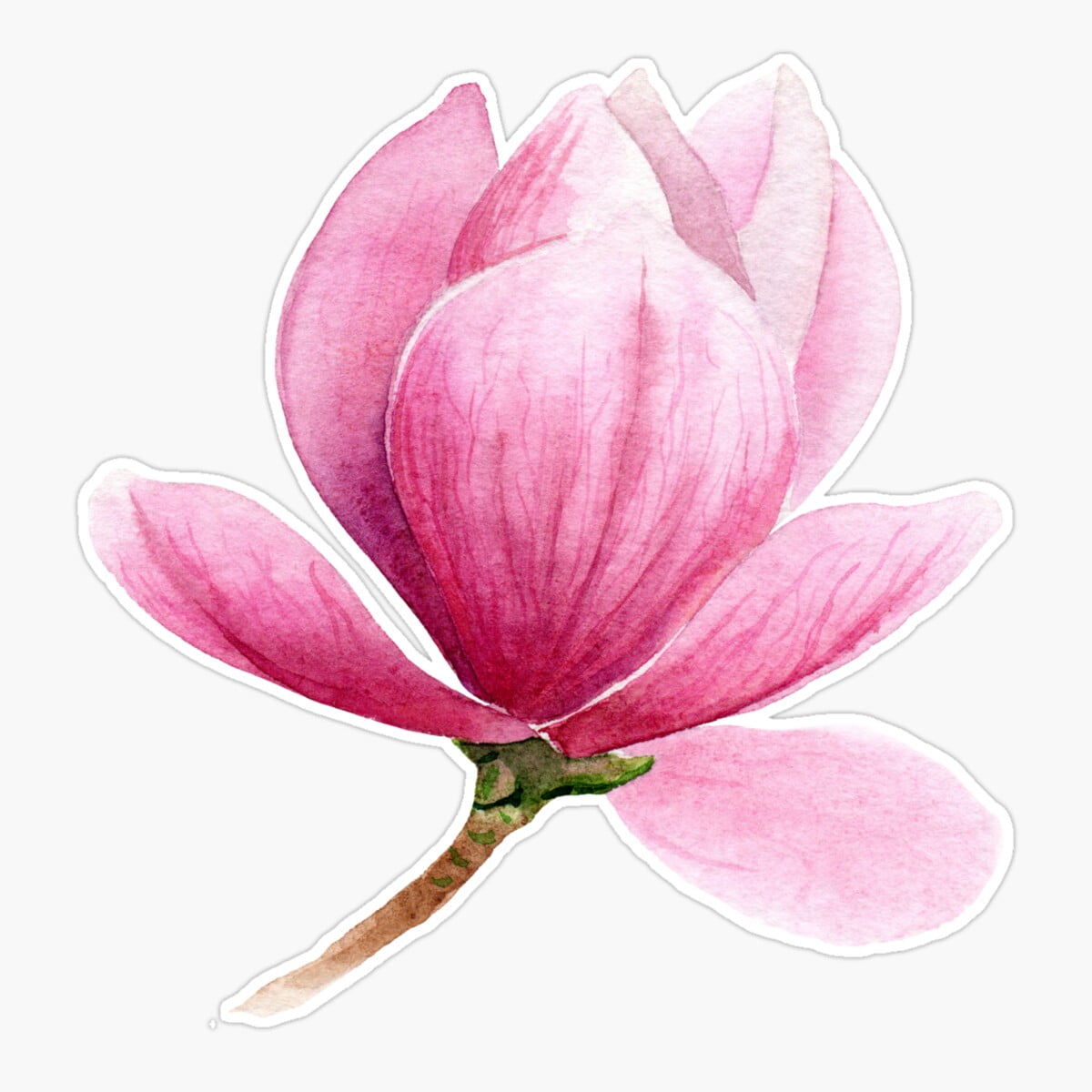 DOPASTICKER Pink Magnolia Sticker, Phone Sticker Water Bottle Sticker ...