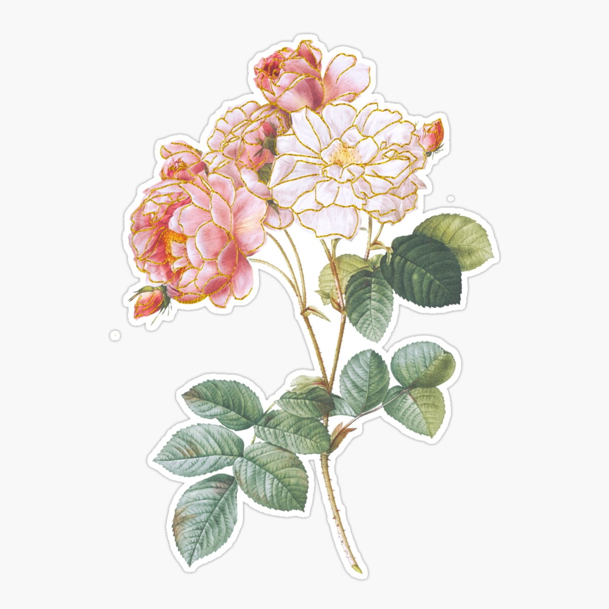 DOPASTICKER Pink Pastel Roses, Botanical Illustrations Sticker, Phone ...