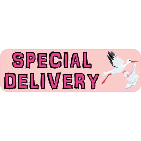 DOPASTICKER Pink Special Delivery Sticker Babys Sticker Phone Sticker ...