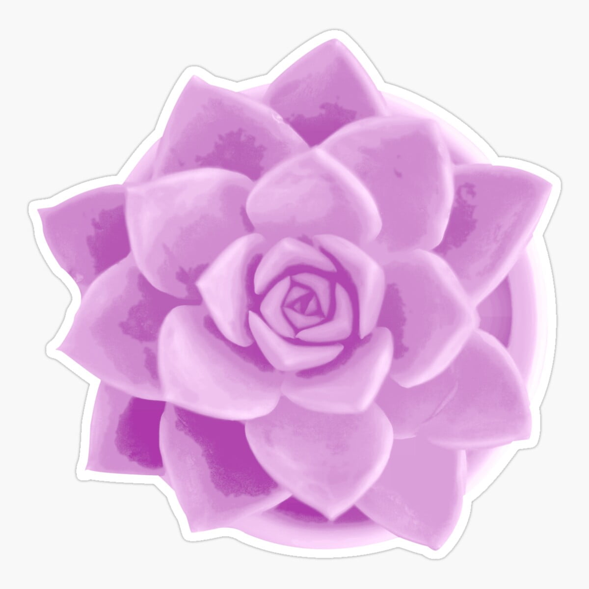 DOPASTICKER Pink Succulent Sticker, Phone Sticker Car Stickers ...