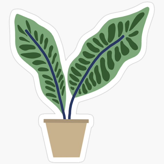 DOPASTICKER Plant Perfect Gift Everyone Phone Decal Water Bottle ...