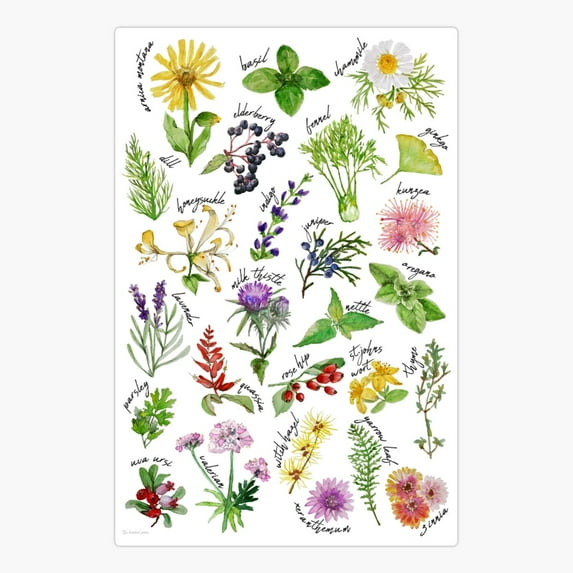 DOPASTICKER Plants & Herbs Alphabet Sticker, Phone Sticker Car Sticker ...