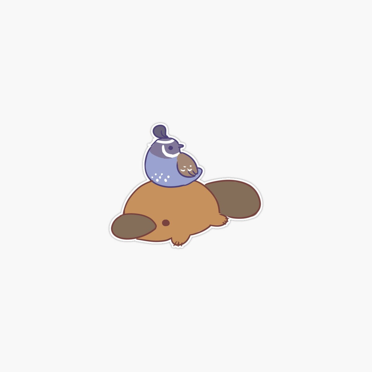 DOPASTICKER Platypus Quail Sticker, Phone Sticker Water Bottle Sticker ...