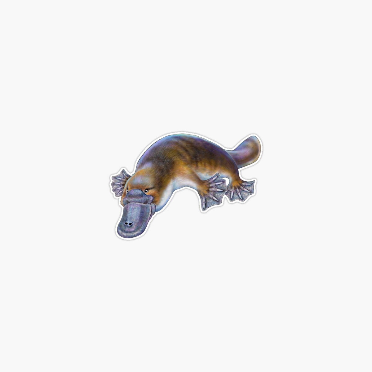 DOPASTICKER Platypus Sticker, Phone Sticker Water Bottle Sticker Car ...