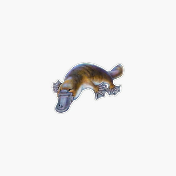 DOPASTICKER Platypus Sticker, Phone Sticker Water Bottle Sticker Car ...